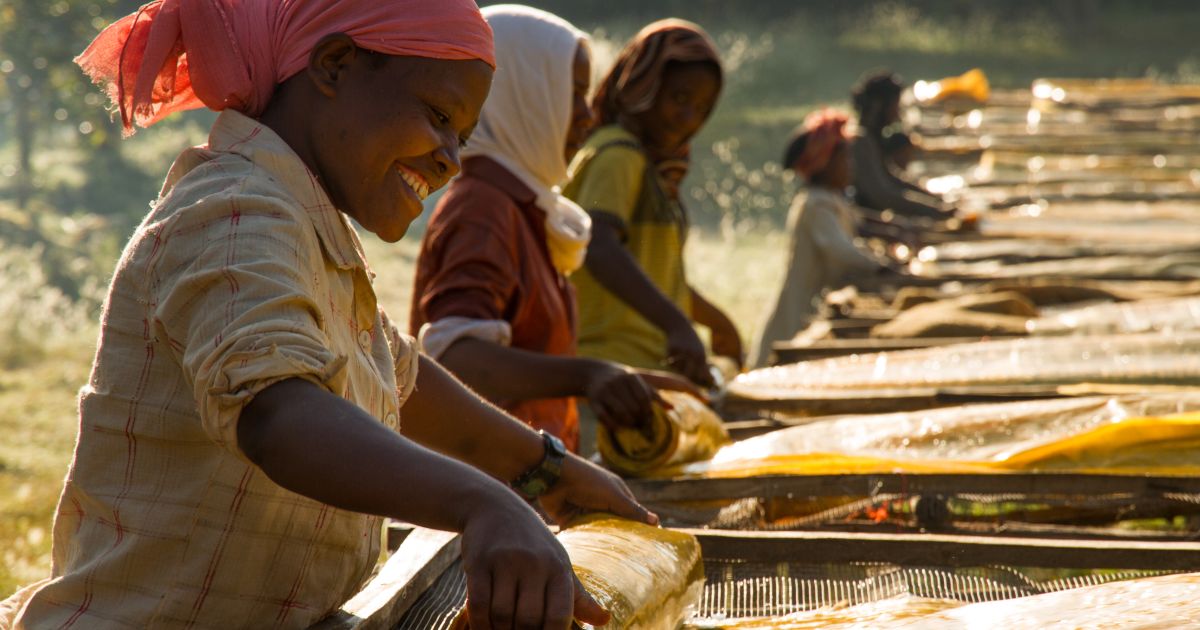 Annual Review 2023 - elea