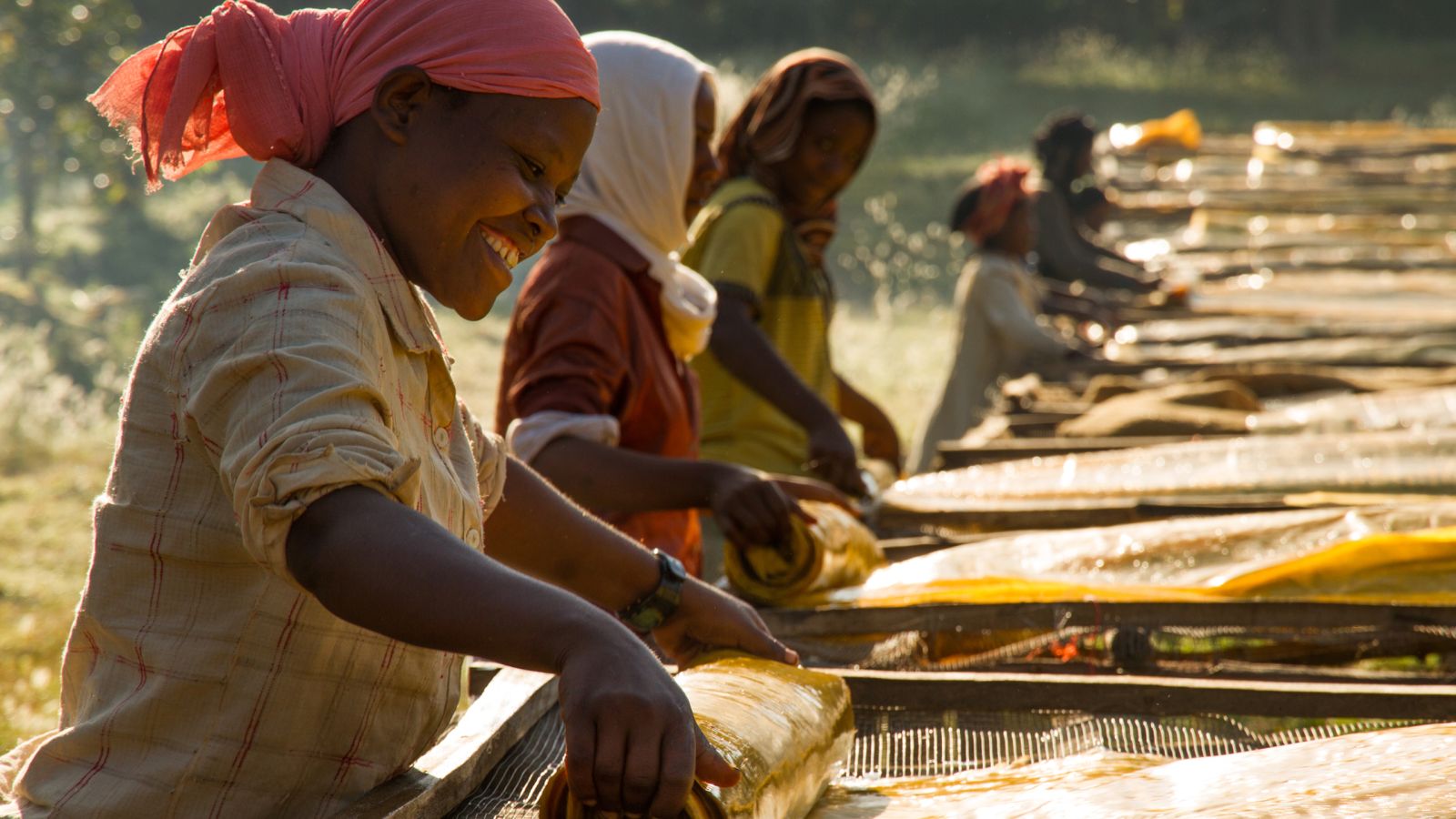 What are consumers in rural India actually looking for? - elea