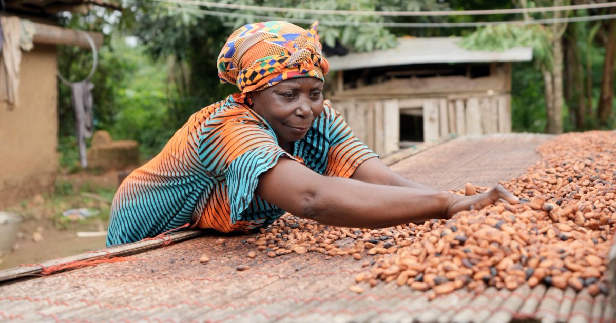 The hidden ingredient: Healthcare for sustainable cocoa farming - elea