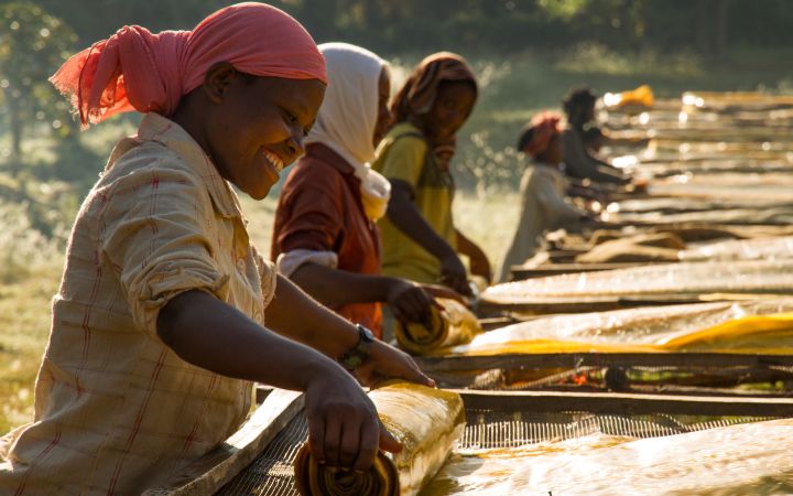 Where does elea invest? - elea